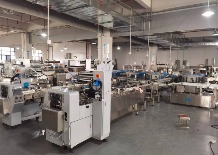 Infeed System - Packaging Machinery Manufacturer | Newhopes